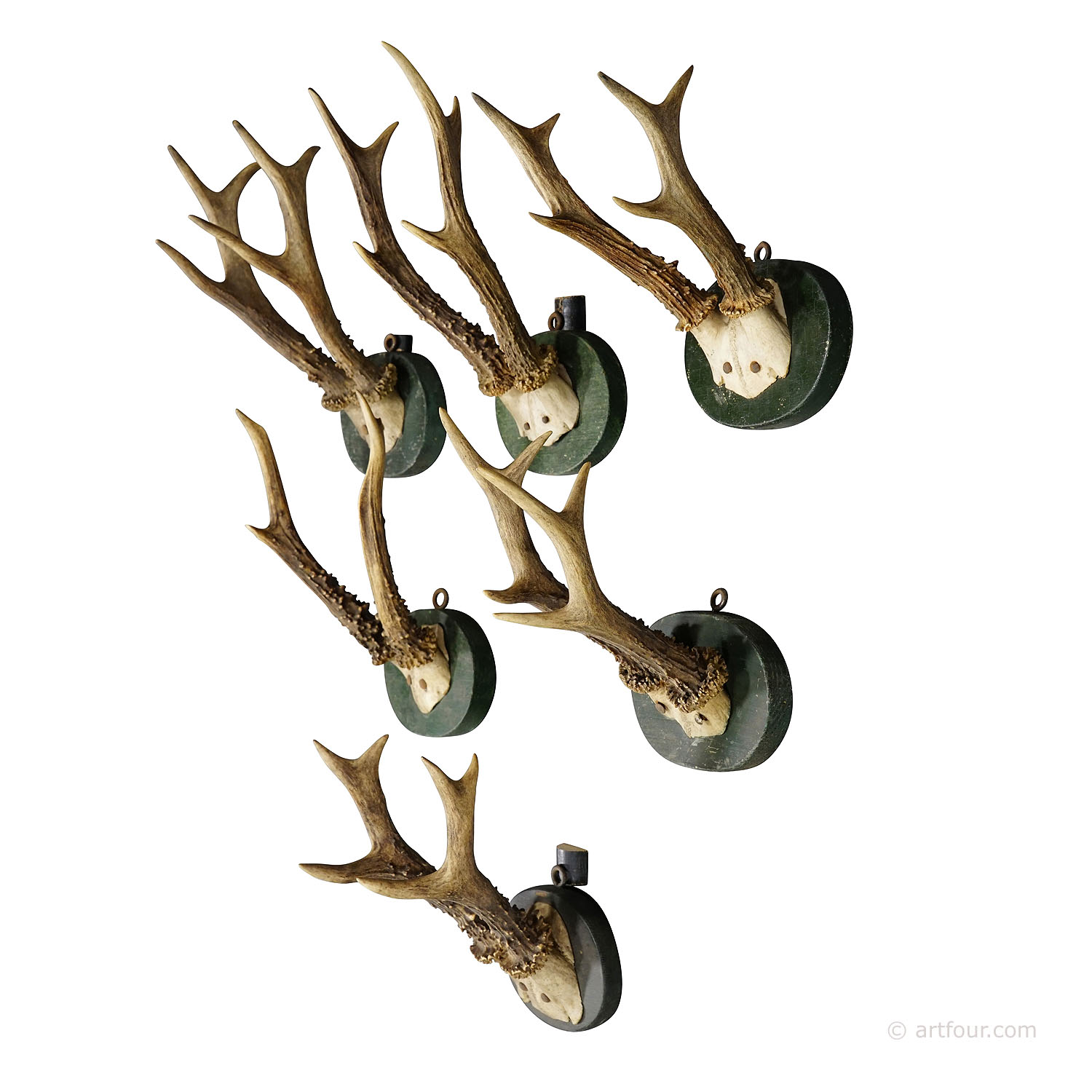 A set of six antique Black Forest hunting trophies from Germany ...