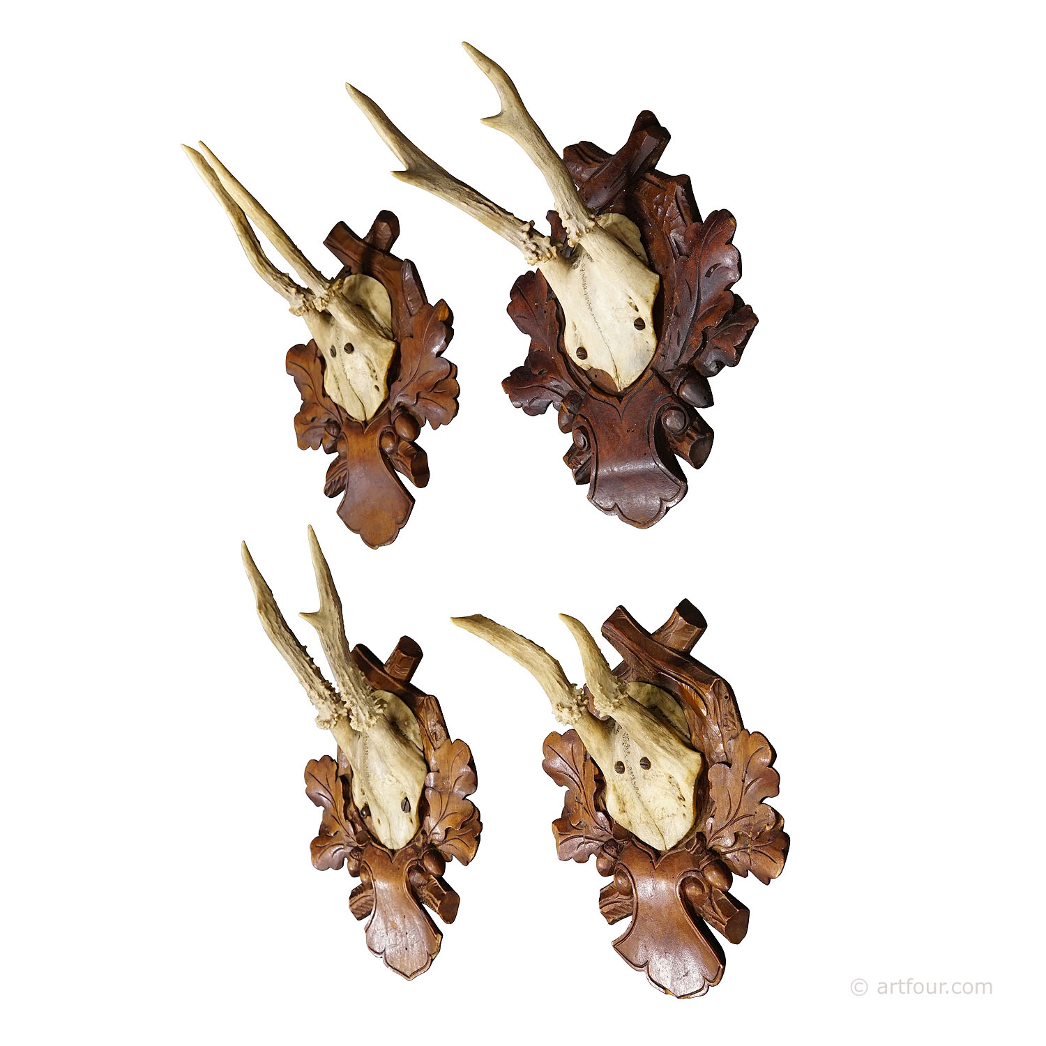 A set of four Black Forest hunting trophies from Germany | artfour.com