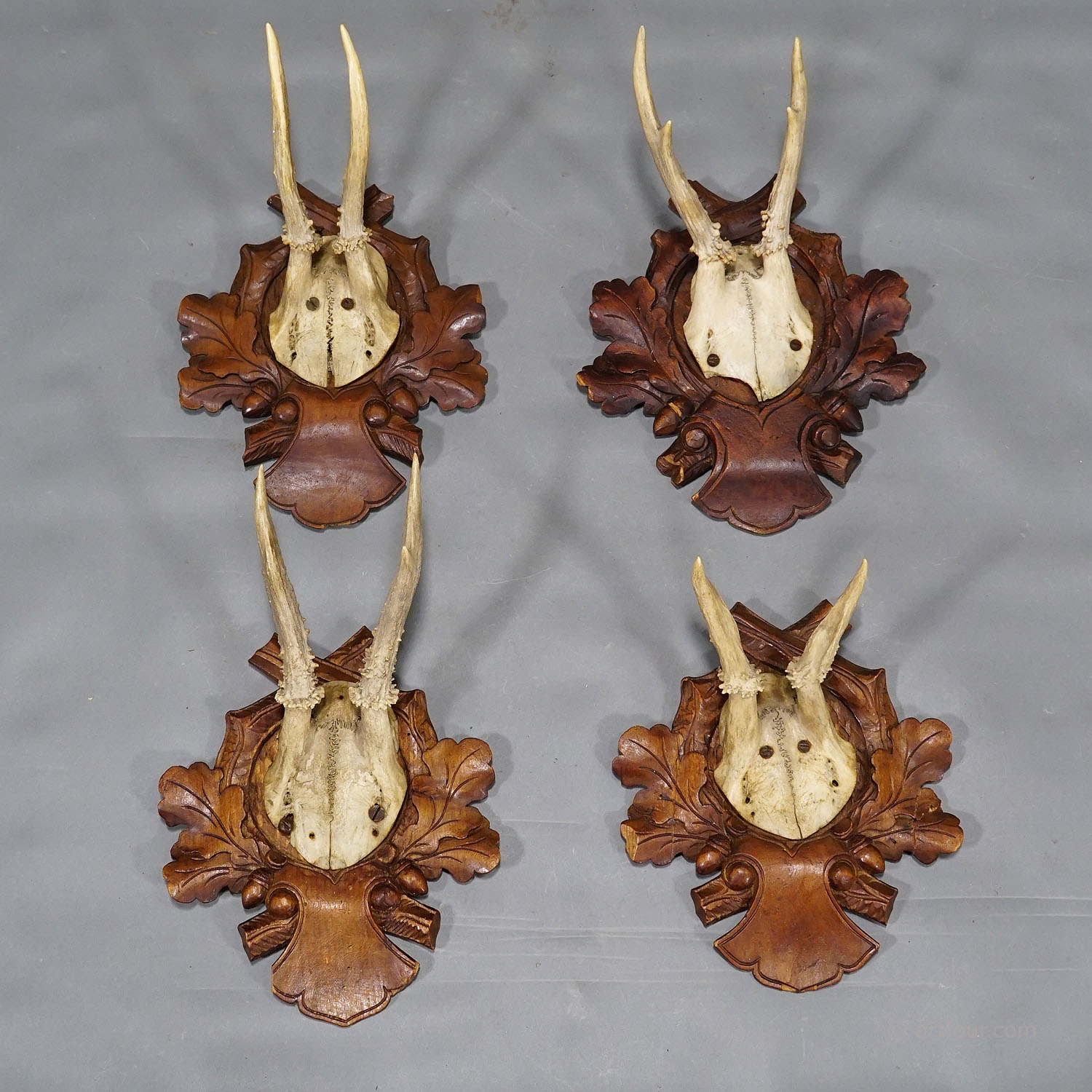 A set of four Black Forest hunting trophies from Germany | artfour.com