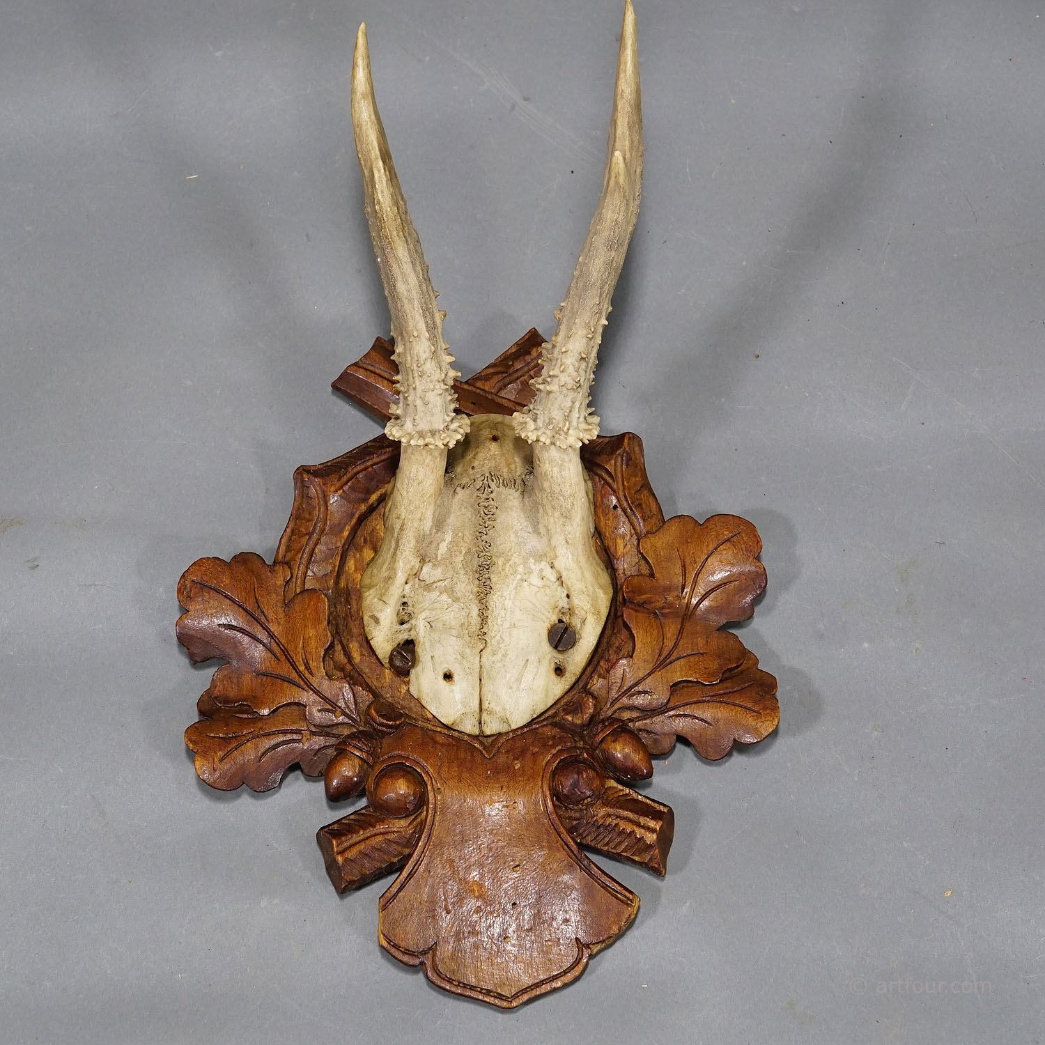 A set of four Black Forest hunting trophies from Germany | artfour.com